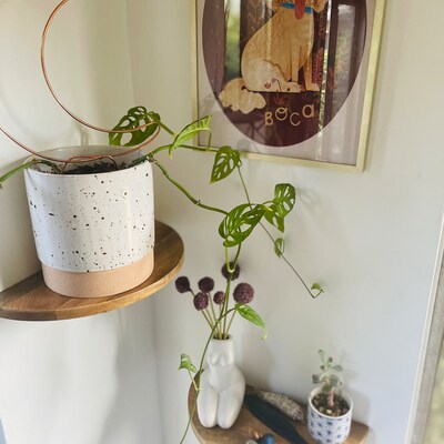 Moon Trellis Copper Trellis Plant Stick Houseplant Stake - Etsy