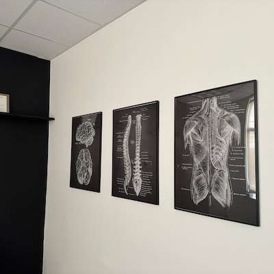 Human Anatomy Artworks Medical Wall Pictures Muscle Skeleton Vintage ...