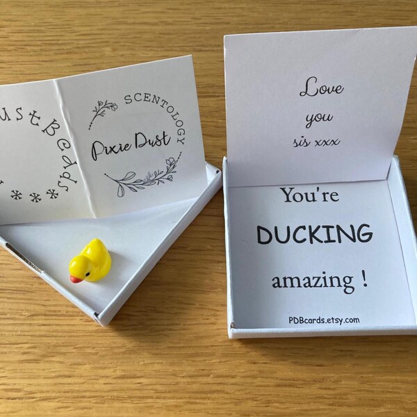 Good Luck Duck Good Luck Gift Cute Duck Gift Desk Buddy Cute Little ...