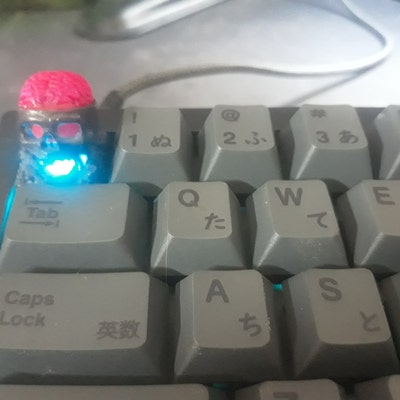 Hand-painted Rustic FOO DOG Keycap for Cherry MX Mechanical Gaming ...