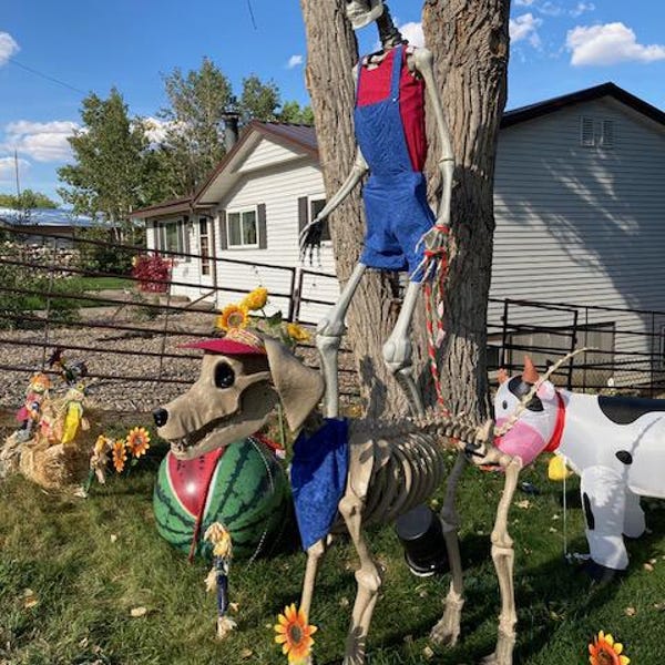 12 Ft Skeleton Pirate Costume skelleton Not Included - Etsy