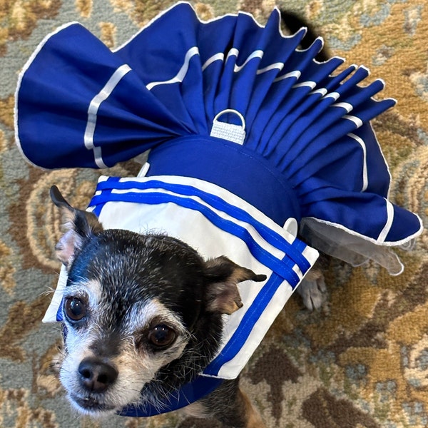 Vintage-inspired wednesday Pet Dress Perfect for Halloween - Etsy