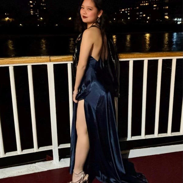 Baroness Elsa Gold Party Dress Sound of Music Costume - Etsy