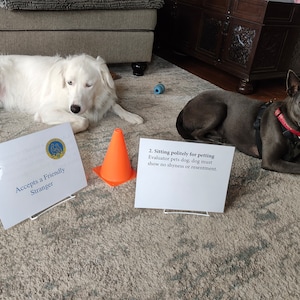 AKC Rally Laminated Sign Set NOVICE MASTER - Etsy