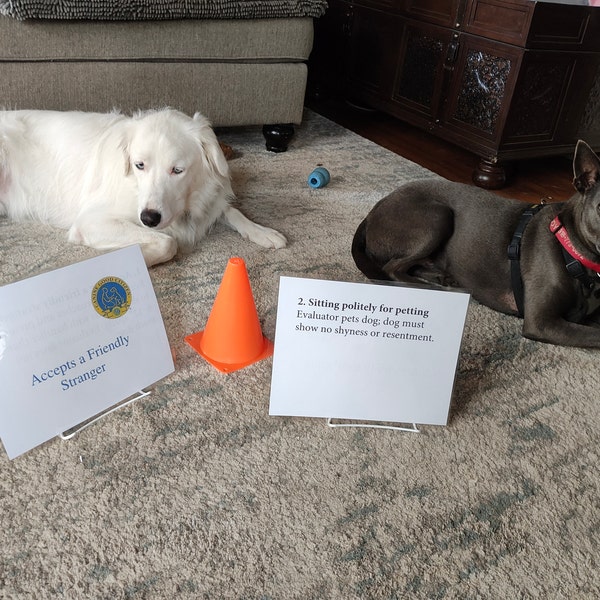 AKC Rally Laminated Sign Set NOVICE - MASTER - Etsy