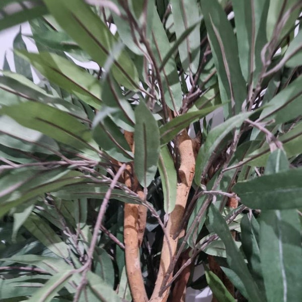 Gender Transformation Spell, MTF and Body Swap Spell, Incredible Gender ...