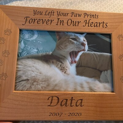 Cat Memorial Frame, Pet Loss Gifts, Cat Picture Frame, Picture Frames ...