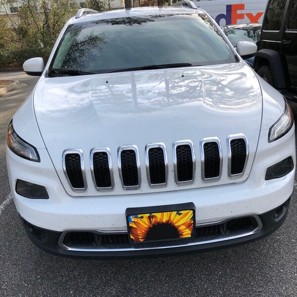 Custom License Plate Front Car Tag, Aluminum or Plastic - Personalized ...