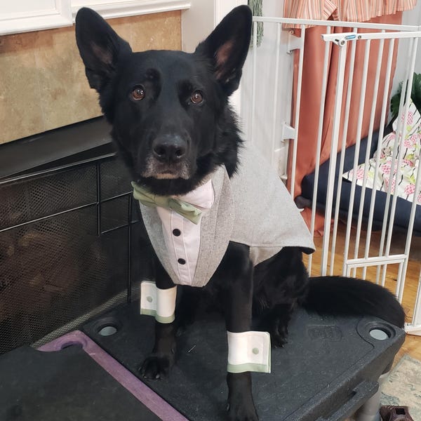 Dog Cuffs, Custom Dog Tuxedo Cuffs for Wedding, Dog Wedding Accessory ...