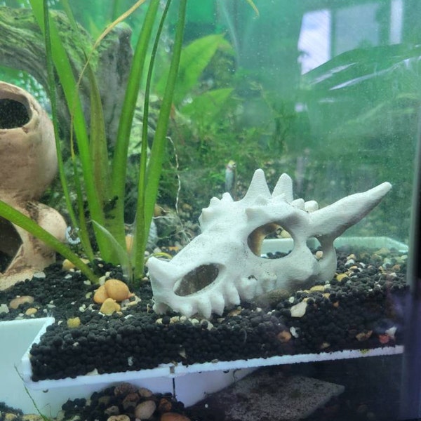 3D Printed Reptile Basking Platform With Ramp: Terrarium Decor - Etsy