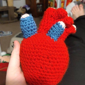 Anatomical Liver Crochet Pattern PATTERN ONLY Instant - Etsy