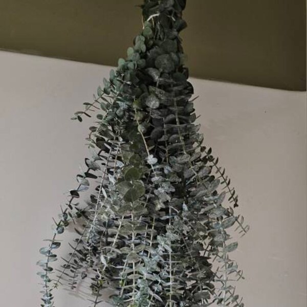 Fresh Eucalyptus Shower Bundle, Eucalyptus Shower Bundle, Indoor ...