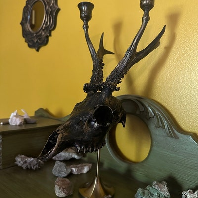 Unique Skull Lamp From Real Roe Deer Skull for Gothic - Etsy