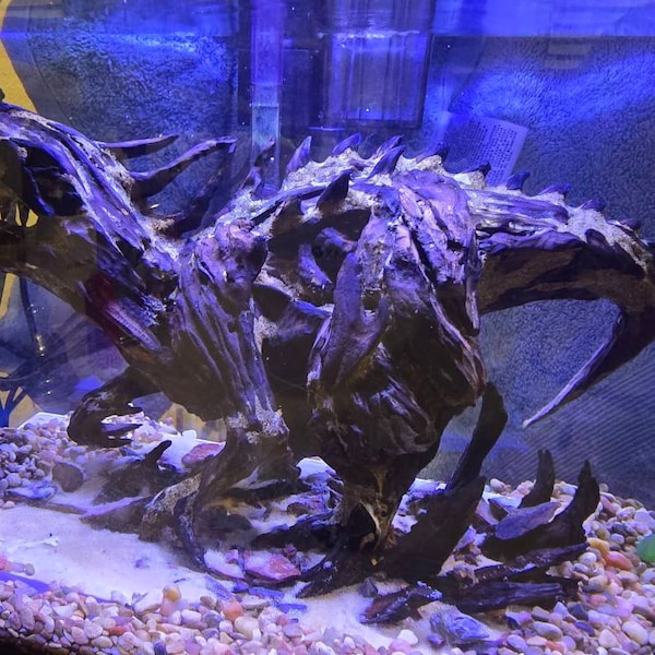 Tyrannosaurus Rex Fish Tank Drift Wood Aquarium Aquascape Rock ...