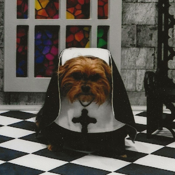 The Nun Dog Costume, Custom Order Request for DUCKY, Special Order the ...