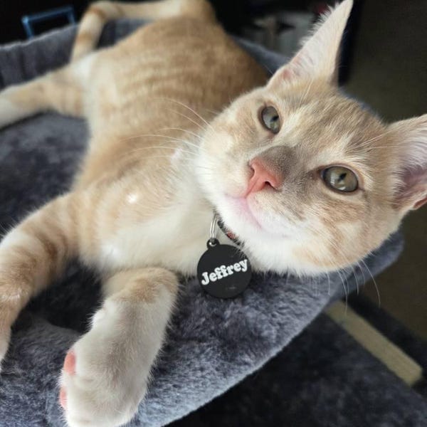 Acrylic Poop Loop | Hands Free Poop Carrier | Poop Bag Holder - Etsy