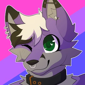 Base Furry Canine Ref Sheet - Etsy