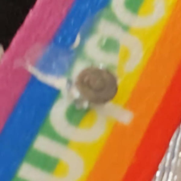 Neuroqueer Infinity Symbol Vinyl Sticker - Neurodiversity - Etsy