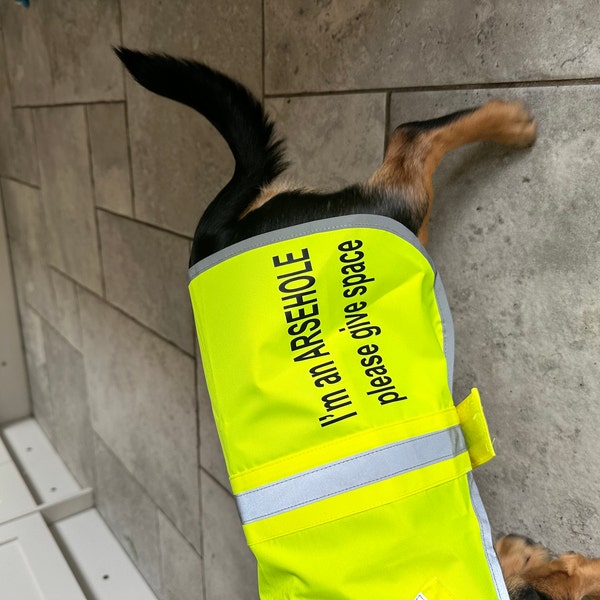 Personalised Dog High Vis Vest Coat Safety Reflective Pet Hi-vis Custom ...
