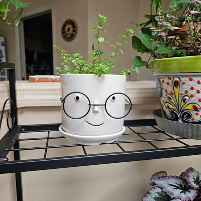 Head Ceramic Face Planter With Glasses Planter With Drainage and Saucer ...