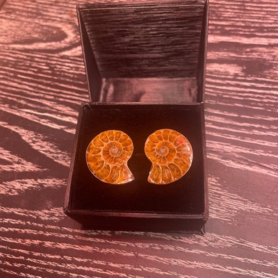 Ammonite Fossil Cufflinks. Golden Ratio, Men's Cufflinks. for Dad, Gift ...