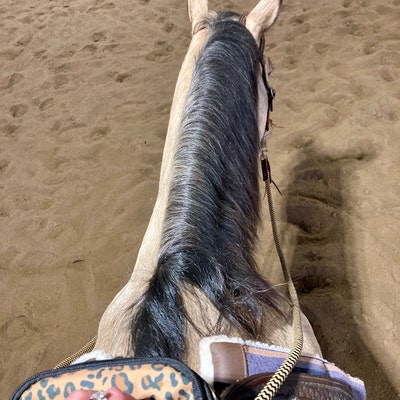 Yacht Rope Sport Mecate Reins W Poppers Use With Slobber Straps Snaffle ...