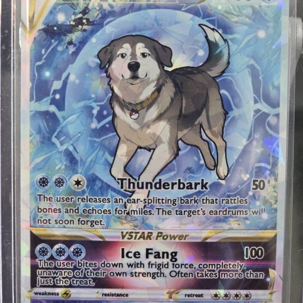 Pokemon Custom Card, Pokemon Graduation Card, Pokemon Holographic Card ...