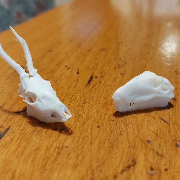 Extinct Animal Miniatures (dinosaur Skulls) – Mini Resin Models - Etsy