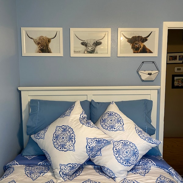 Highland Cow Print - Printable Wall Art ~ Colour Cow Photography Poster ...