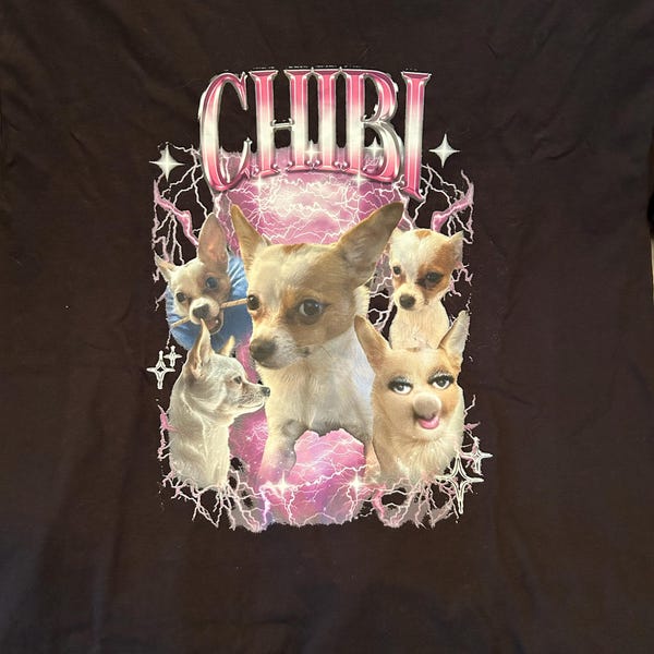 Custom Bootleg Rap Tee, Shirt With Face Photo, Bachelor Party Tshirt ...