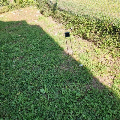 RING Spotlight Plus & Pro Cam Tree // A Tree or Post Mount for the RING ...