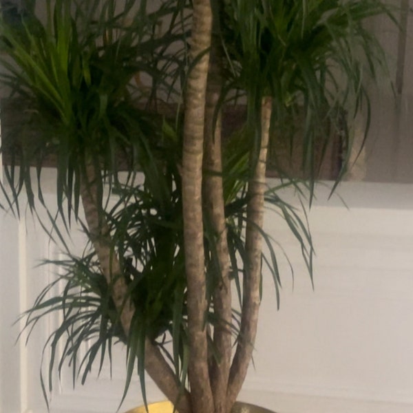 Round Tree Wall Art, Wooden Wall Decor Modern Rustic Piece, Decorative ...