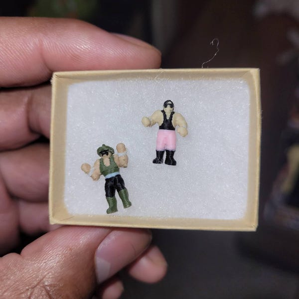1:12 Scale Tiny WWF Superstars Custom 3D Print Mini Figure Wrestler ...