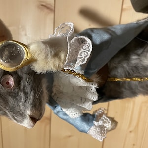 Taxidermy Rat Taxidermy Rat Mount Sculpture Hand Miniature - Etsy