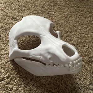 Wolf Skull Realistic Bone Spooky Mask Movable Moving Hinge Jaw 3D ...