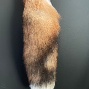 Eco-friendly Golden Red Fox Tails super Rare - Etsy