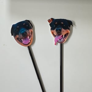 Custom Face Fans on a Stick, Face Cutouts for Bachelorette, Big Head ...