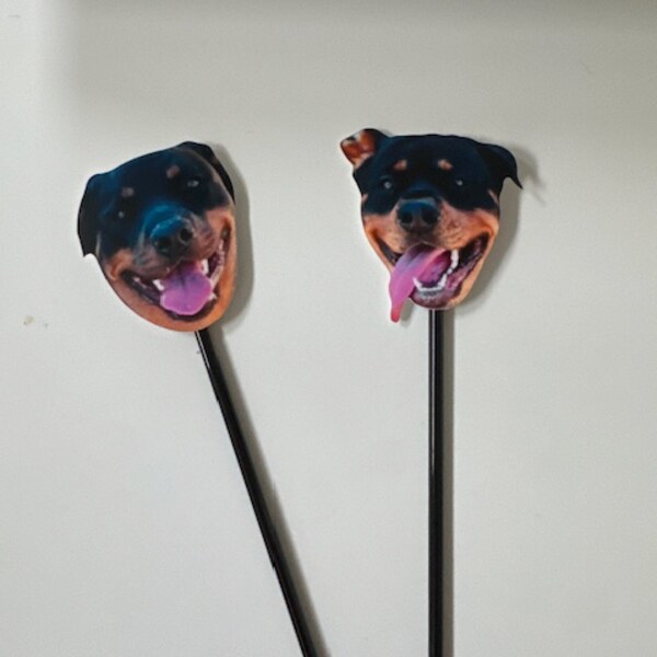 Drink Stirrers Personalized With Dog Face, Pet Birthday Stir Sticks ...