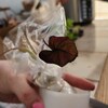 Live Colocasia "redemption", Elephant Ears Super Rare Starter Plant - Etsy