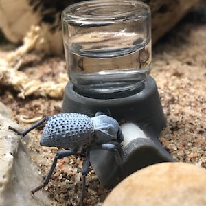 Ant Farm 3D Printed With Acrylic Walled Outworld and Detachable Glass ...