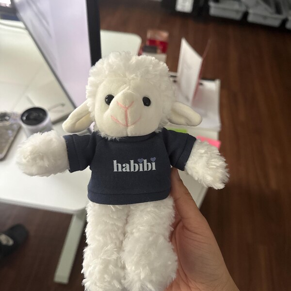 Habibi Kiss-cut Stickers - Etsy