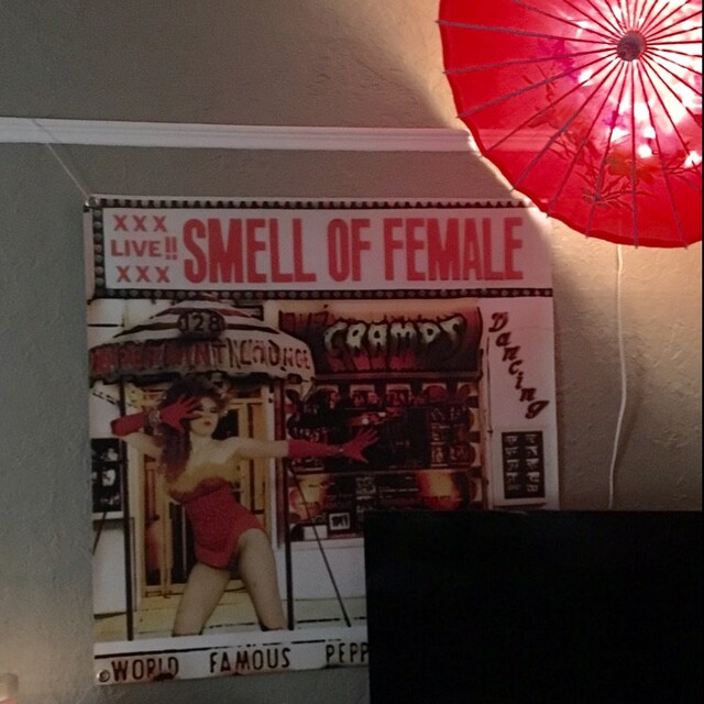 Huge 36x36 Allen IVERSON vinyl Banner Poster ART basketball | Etsy