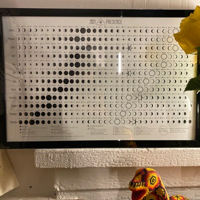 Learn Bone Throwing, A Beginner's Guide to Bone Throwing Book, How to ...