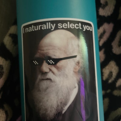 Maslows Hierarchy of Needs Sticker Psychology Sticker - Etsy