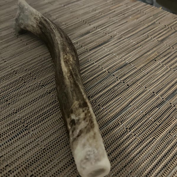 NEW Natural Shed Real Deer Antler Knobs / Pulls Cabinet Dresser Hardware (1 EA) **oregon Antler ...