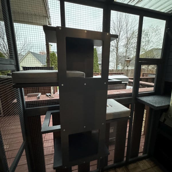 Ultimate Big Cat Catio Furniture Bundle - Set of Cat Shelves for an ...