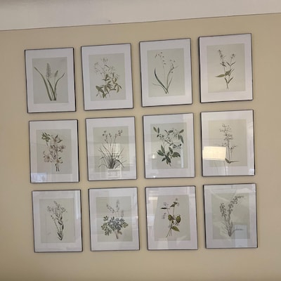Vintage Botanical Prints Gallery Wall Set of 8, Floral Poster ...