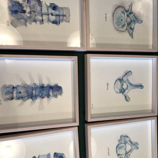 Blue Spine Print Series of 3 - Anatomy Art Set - 3 Watercolor Prints - Etsy