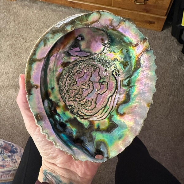Large Rainbow Abalone Shell Perfect for Smudging Smudge Bowl Large ...