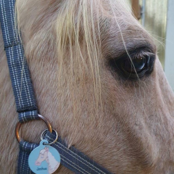Equestrian Horse ID Tag - Personalised Horse Bridle Tag - Horse Gifts ...